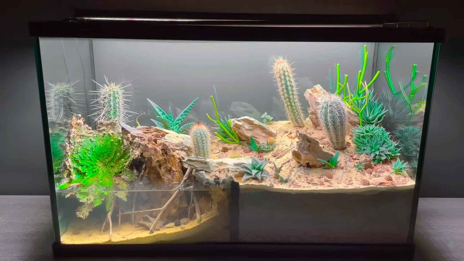 Wie baut man ein Terrarium?