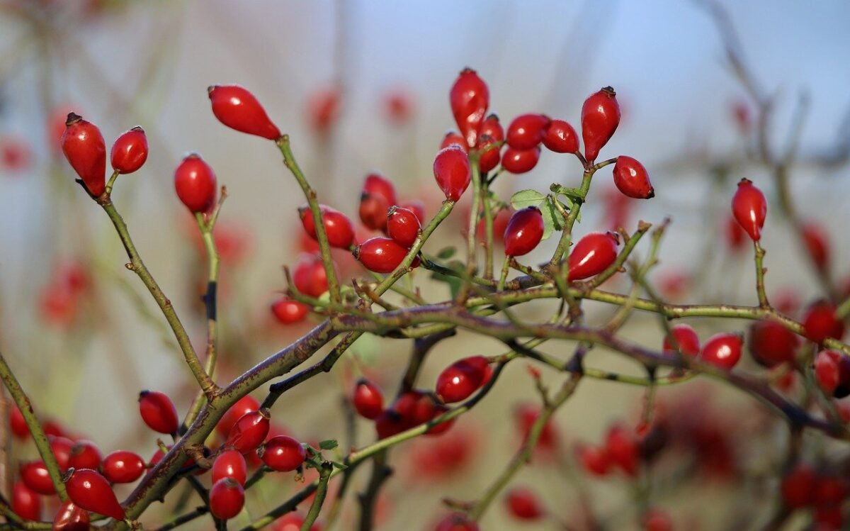 Monopsonio: ¿Qué es? Ejemplos y características - Formarse