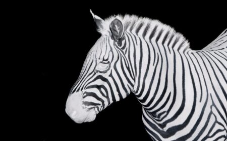 Qué es la inversión en valor: Enfoque financiero - Formarse