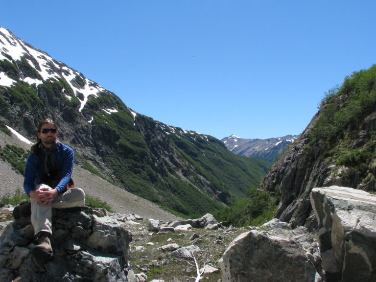 Ramas de la programación: Áreas de especialización