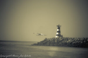 Qué son decisiones personales: Tu libre albedrío