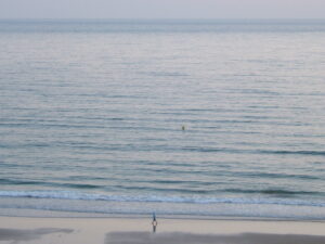 Qué son los obstáculos: Barreras en tu camino