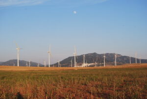 Sector: Definitie, typen en belangrijkste voorbeelden